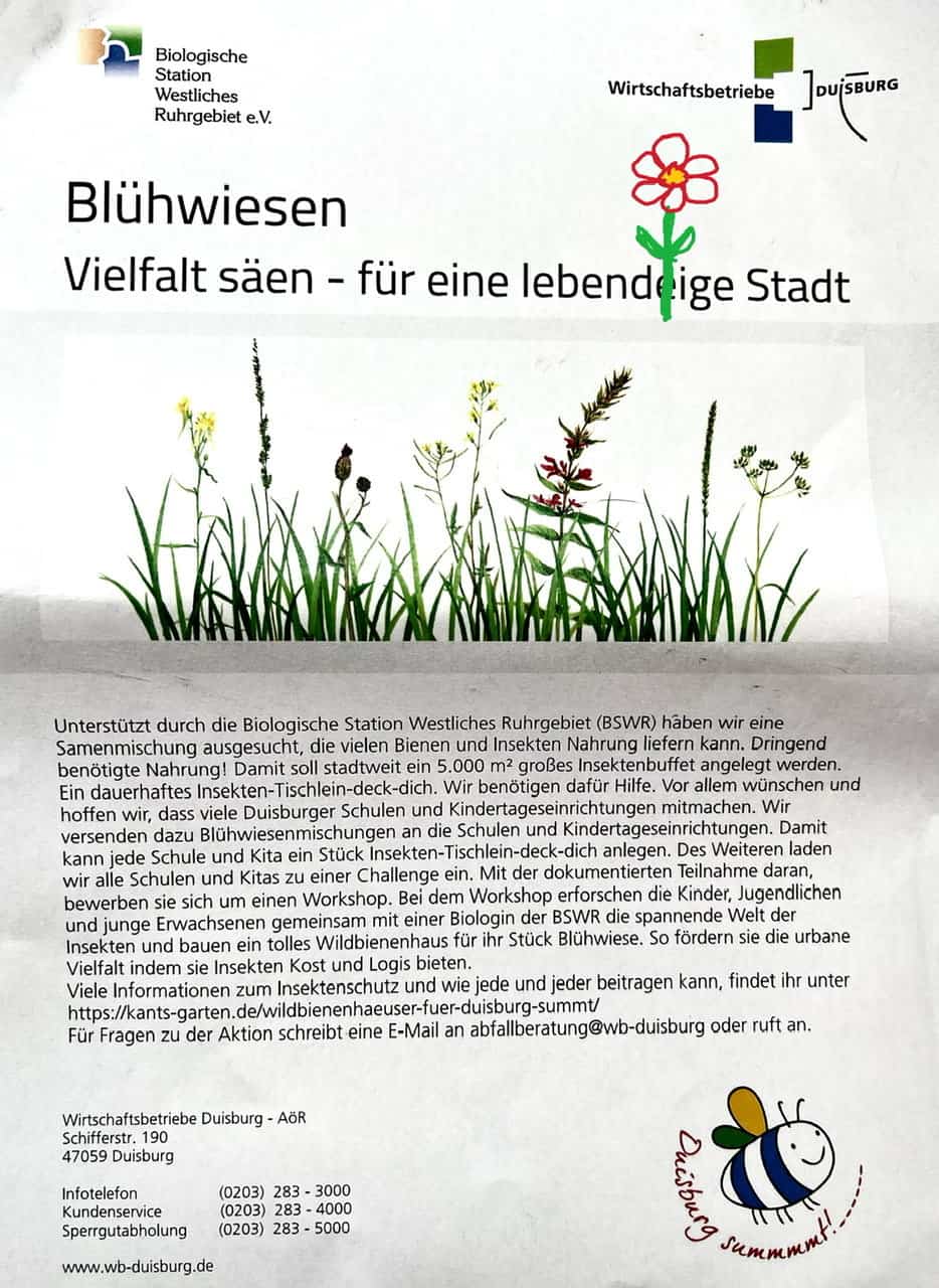 F5E6F4CC-B120-4696-ABBA-47F56A8468FB | Linda Broszeit